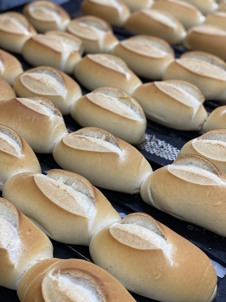 Mini Pão Francês Congelado c/ 12un | Pães Novo Rio